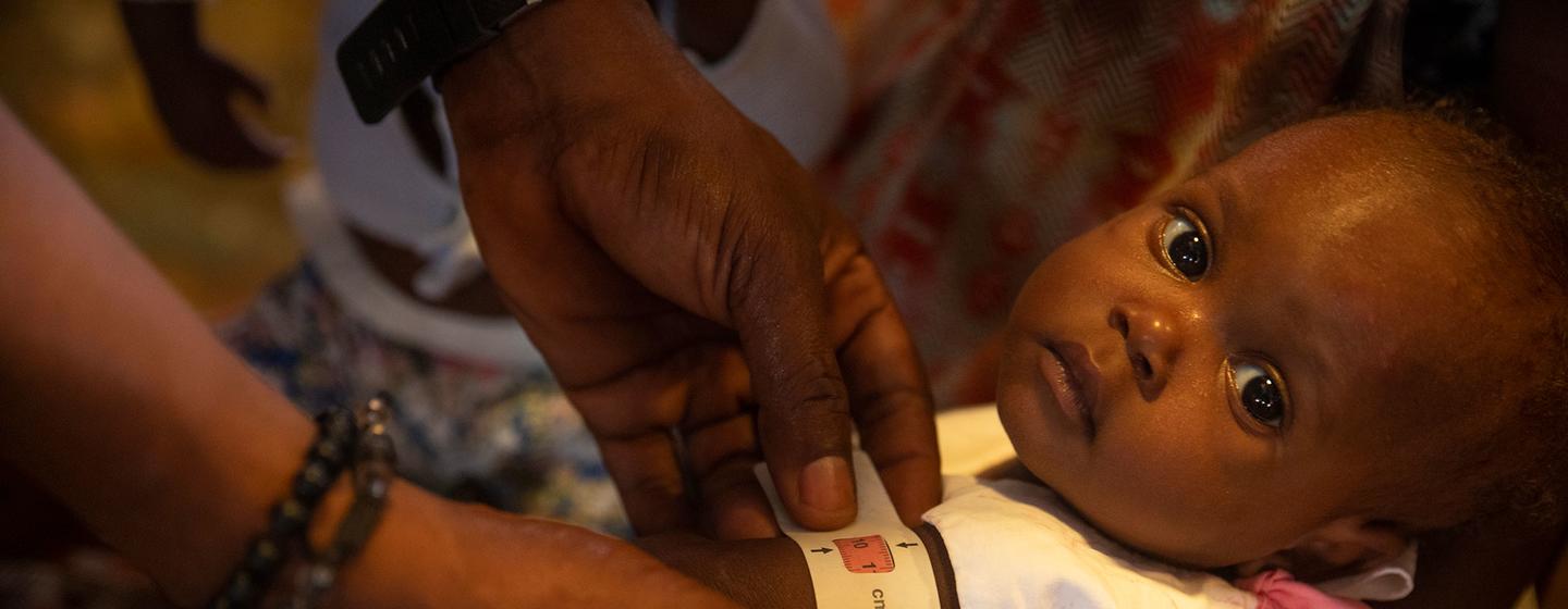 No time to waste, as Haiti famine risk rises, warns UN emergency food aid agency — Global Issues